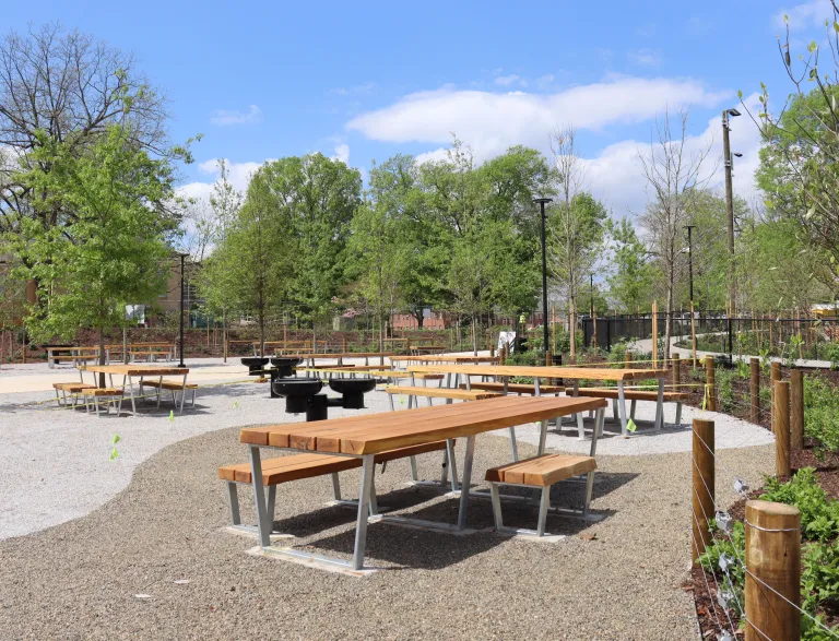 Picnic Grove | Dorothea Dix Park